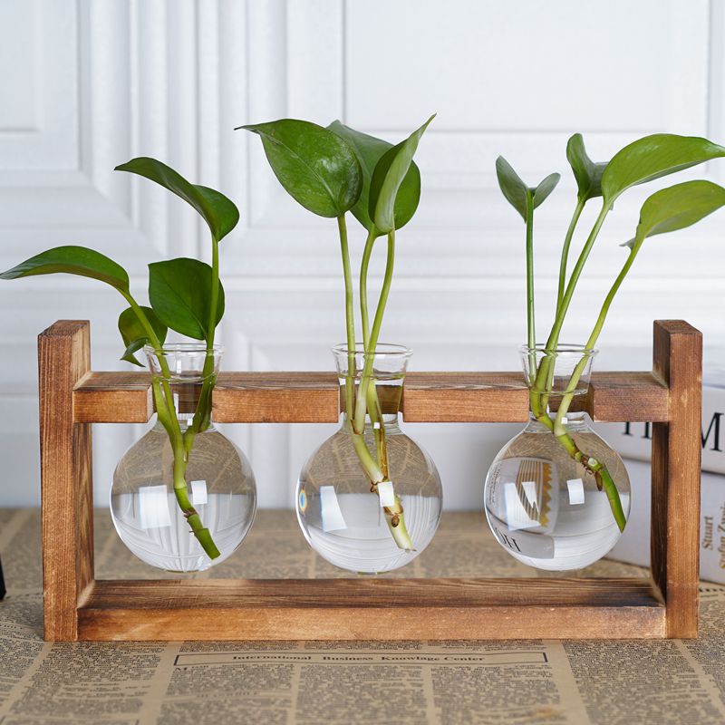 Horizontal Style Hydroponic Plant Glass Vase with Wooden Legs ...