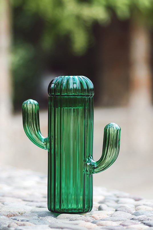 Cactus Glass Jar | Aesthetic Decor Shop