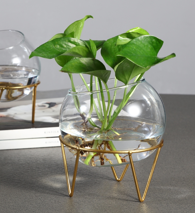 Hydroponic Glass Bowl with Gold Legs | Aesthetic Decor Shop